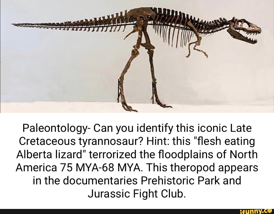 Paleontology- Can you identify this iconic Late Cretaceous tyrannosaur ...