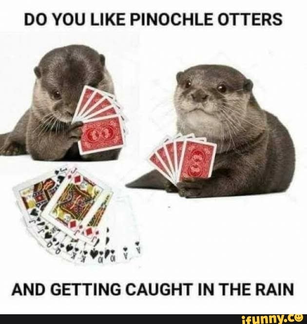 Pinochle memes. Best Collection of funny Pinochle pictures on iFunny