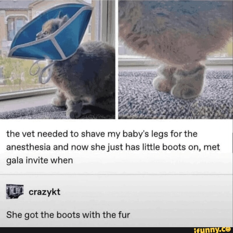 Anesthesia memes. Best Collection of funny Anesthesia pictures on iFunny