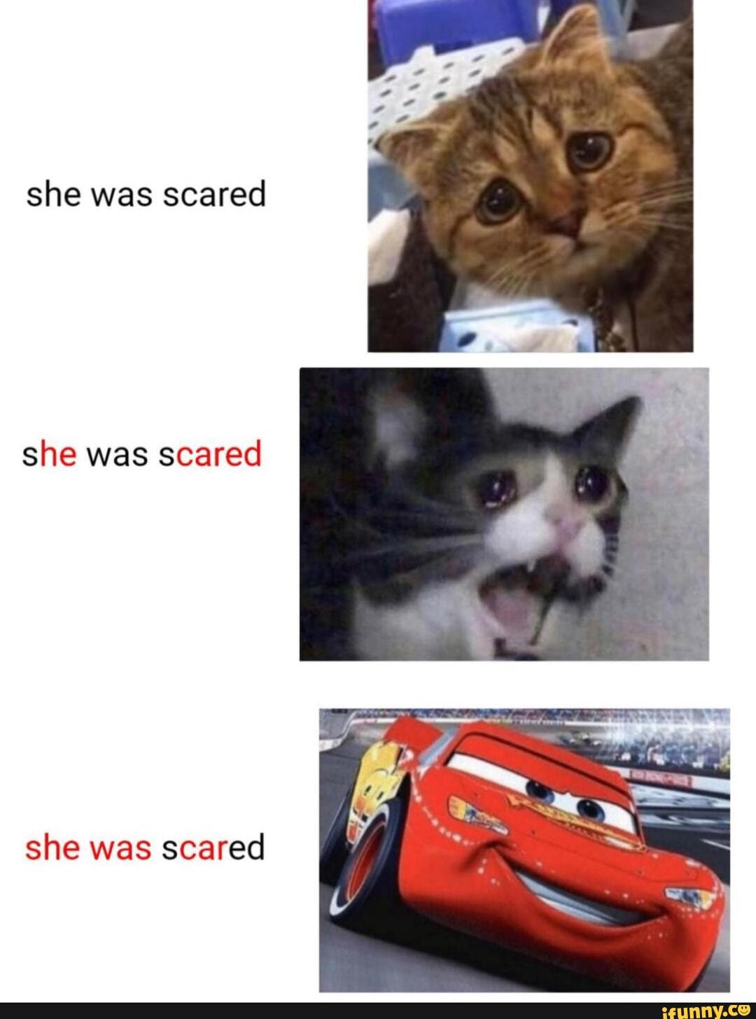 She scared she was scared she was scared - iFunny