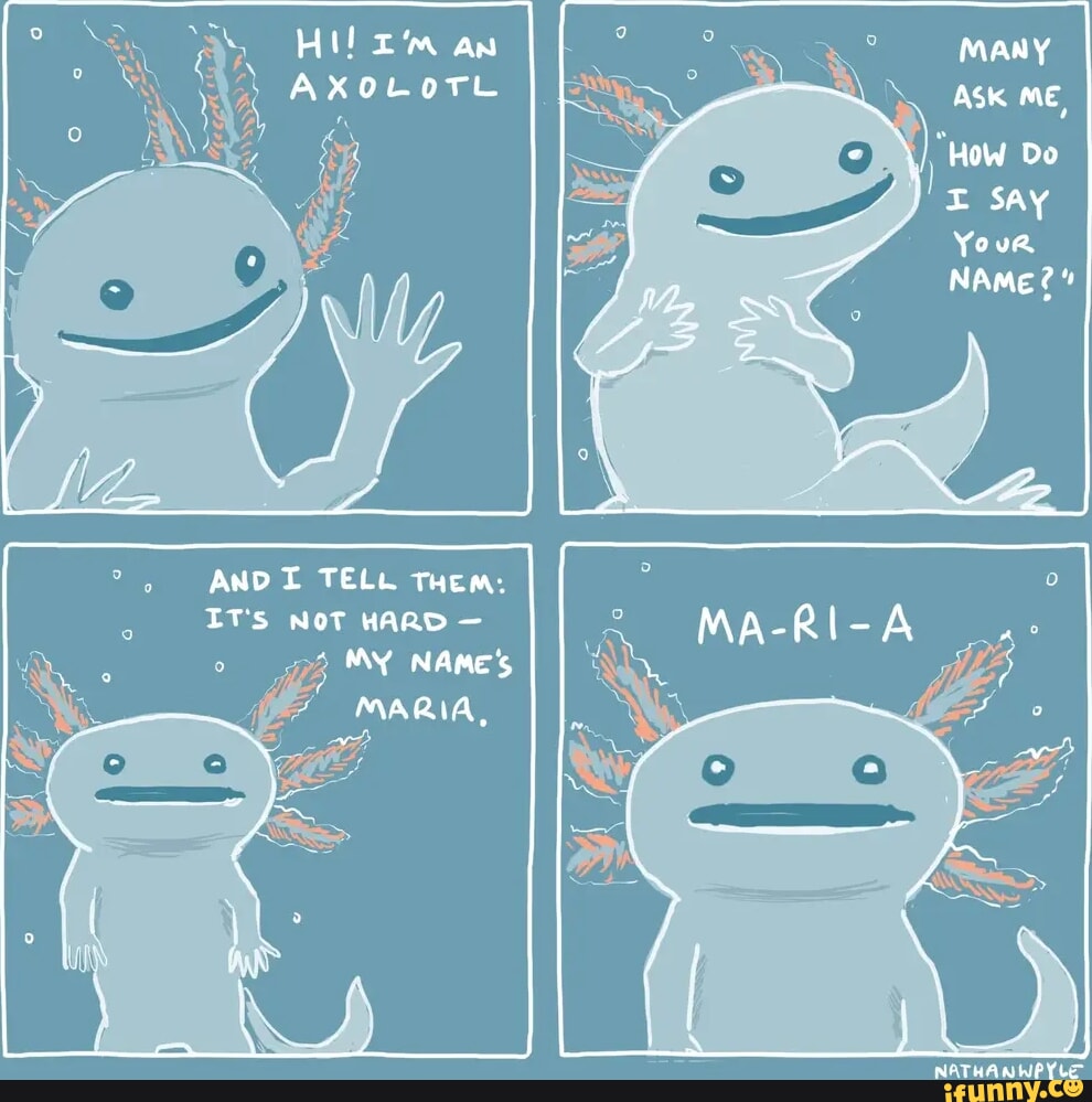 Axolotl memes. Best Collection of funny Axolotl pictures on iFunny