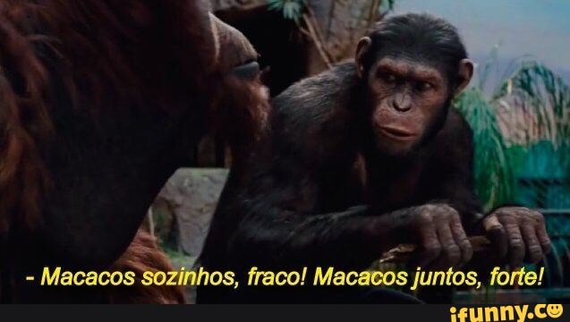 Snuff de macacos - já ouviram falar sobre esse bizarro fenômeno?