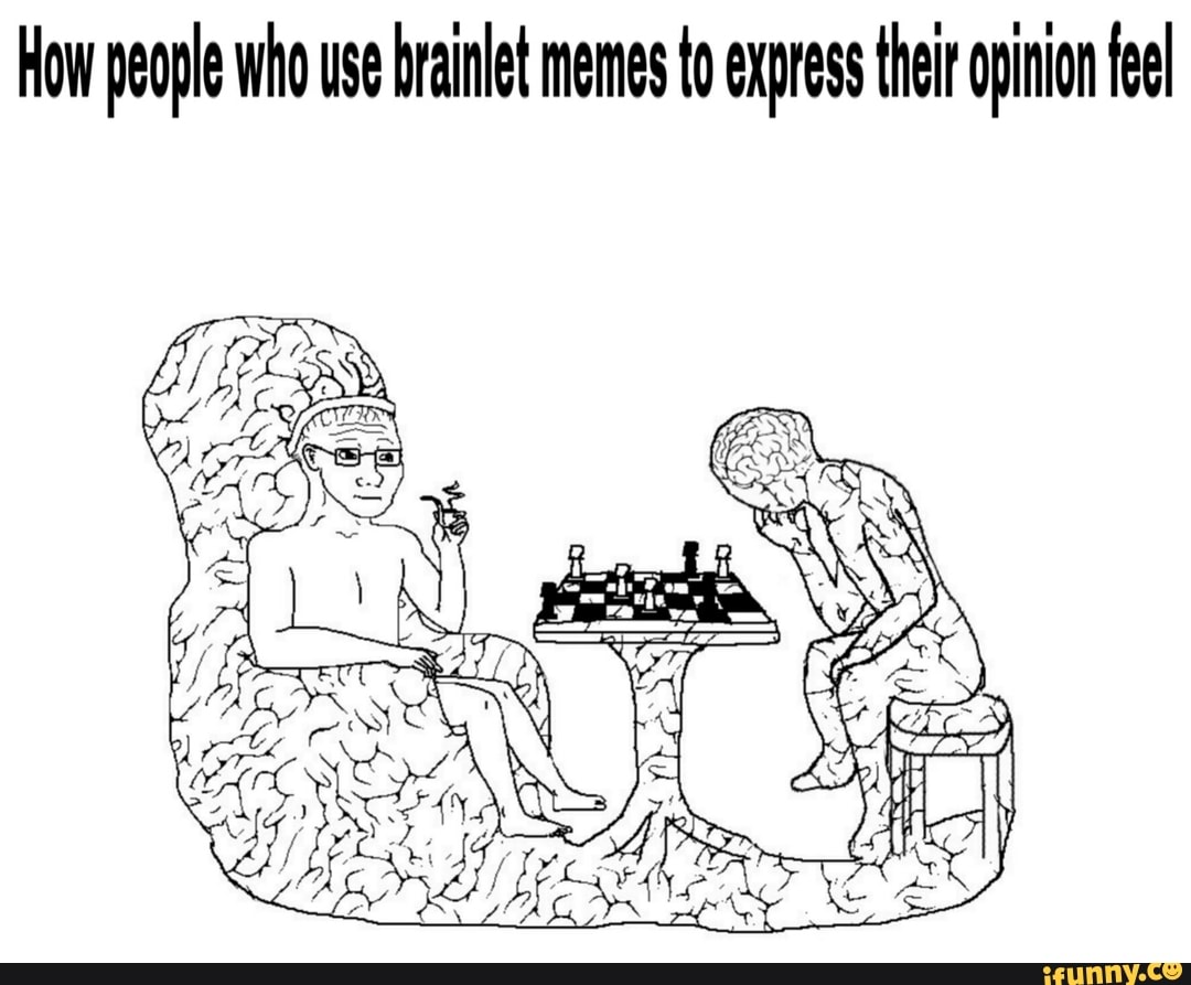 How people who use brainlet memes to express theiropinion feel - iFunny