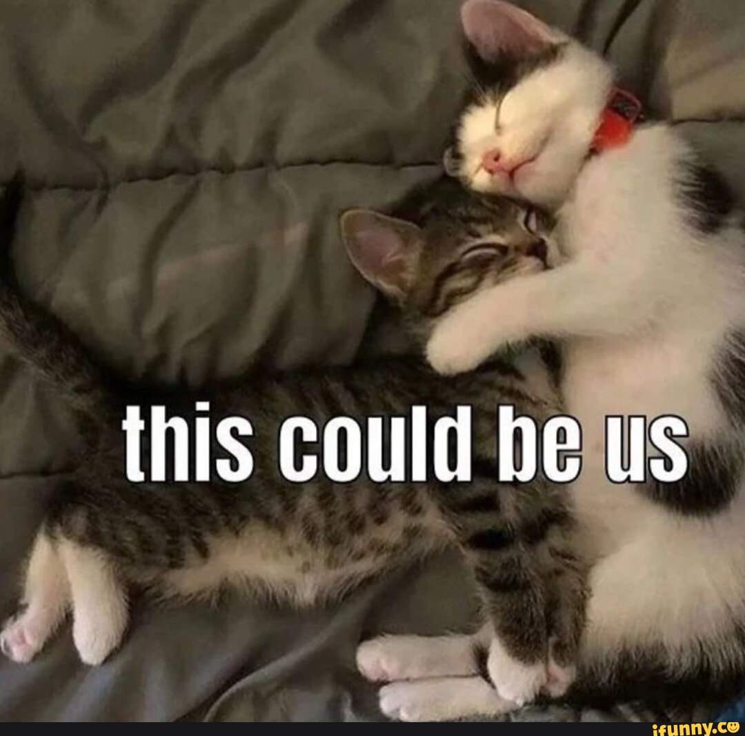 Picture memes GhcNYGNjA by Lodada: 60 comments - iFunny