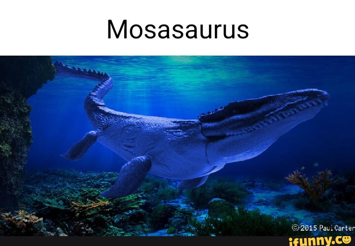 Mosasaurus memes. Best Collection of funny Mosasaurus pictures on iFunny