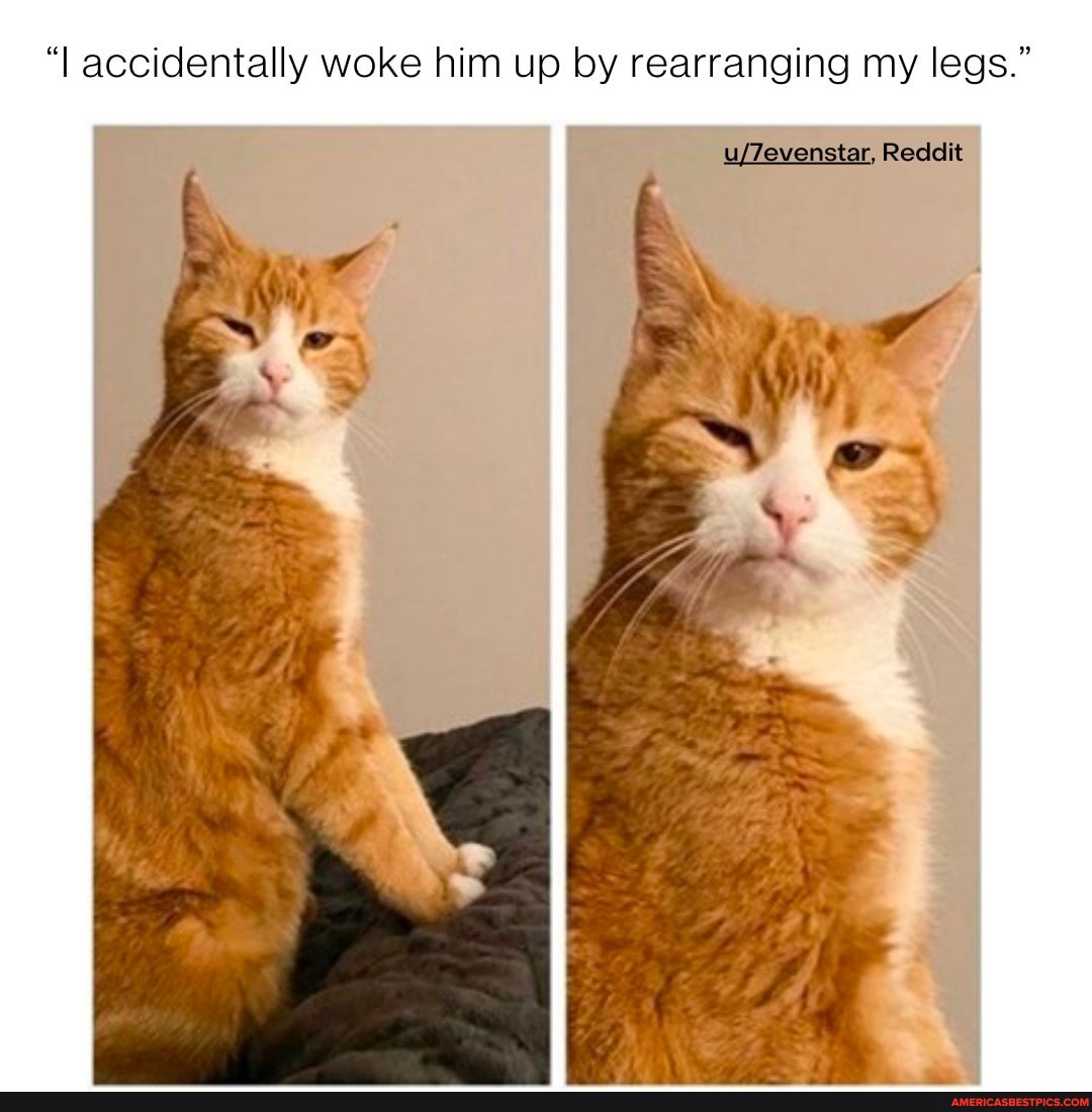 How DARE?! - "I accidentally woke him up by rearranging my legs ...