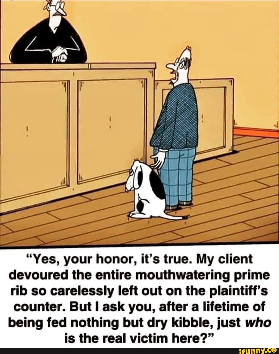 Kibble memes. Best Collection of funny Kibble pictures on iFunny