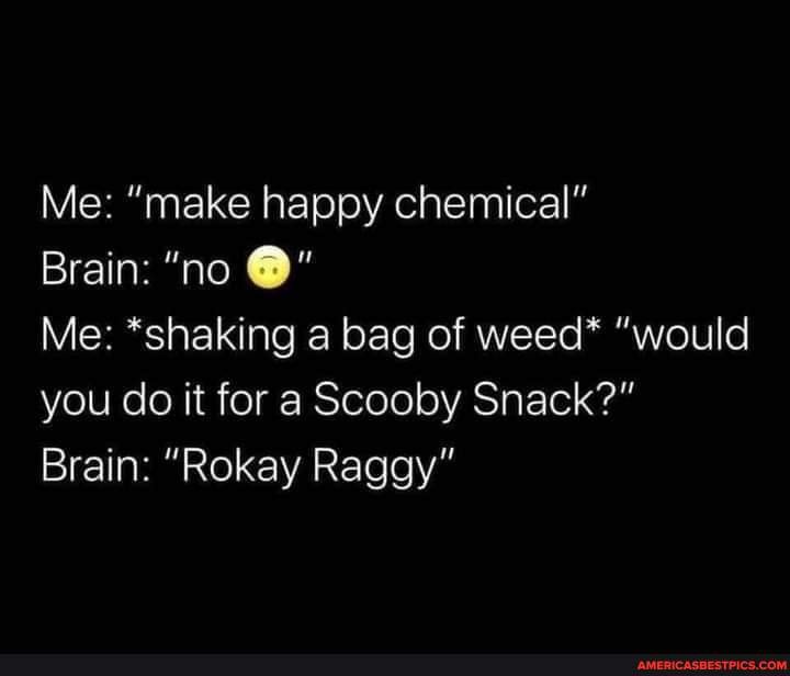 Me: "make happy chemical" Brain: "no Me: *shaking a bag of weed* "would ...