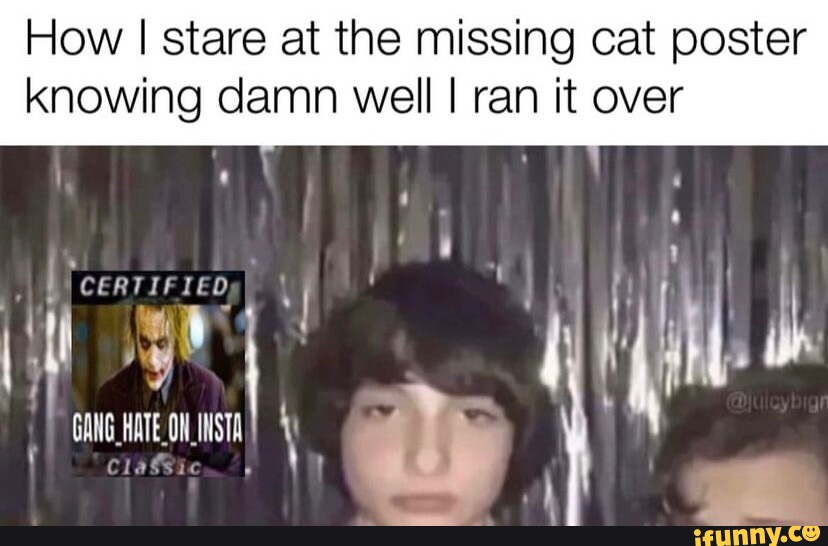 Video memes mLcBtYTf6 by spongecock: 406 comments - iFunny