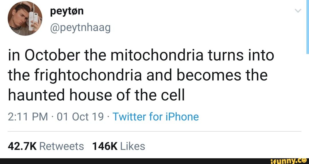 In October the mitochondria turns into the frightochondria and becomes ...