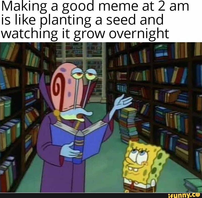 Making a good meme at 2 am is like planting a seed and watching it grow ...