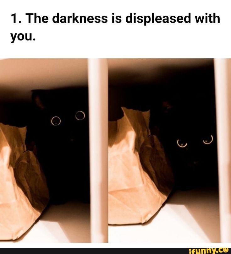 iFunny - the best memes, video, gifs and funny pics in one place