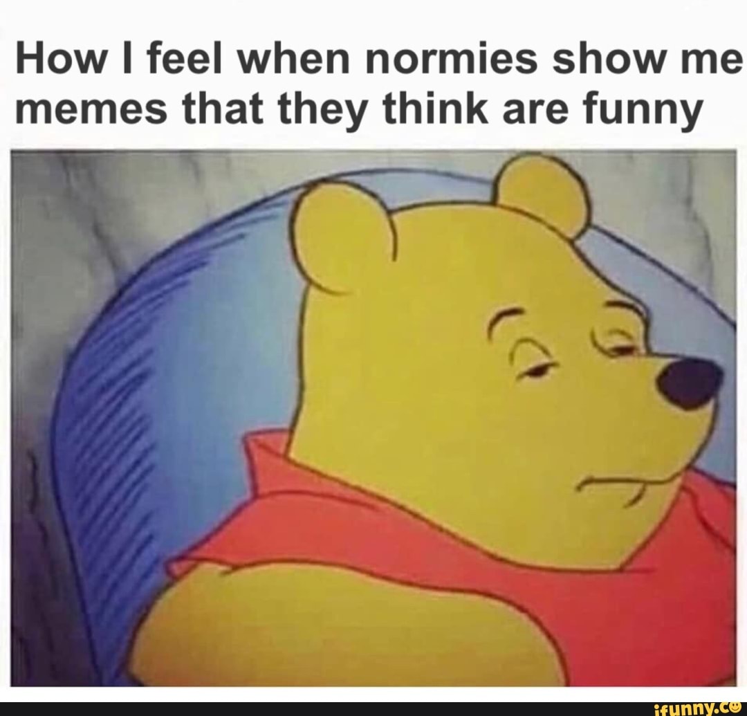 How I feel when normies show me memes that they think are funny - iFunny
