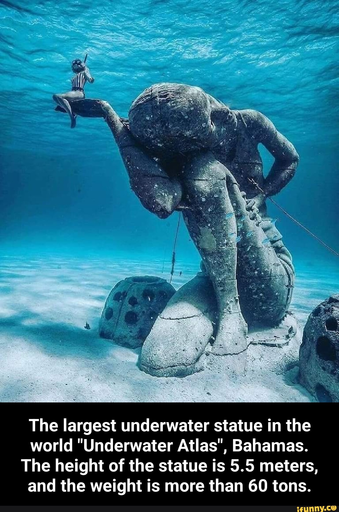 Atlas memes. Best Collection of funny Atlas pictures on iFunny