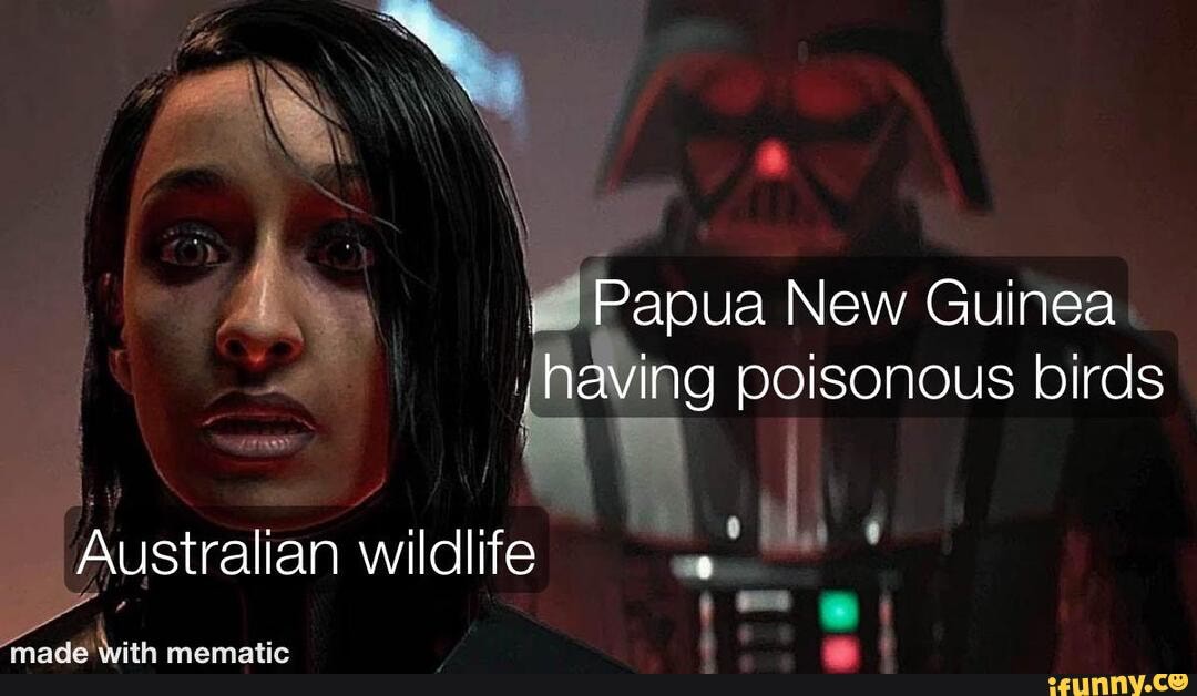 Ay Papua New Guinea having poisonous birds Australian wildlife made ...