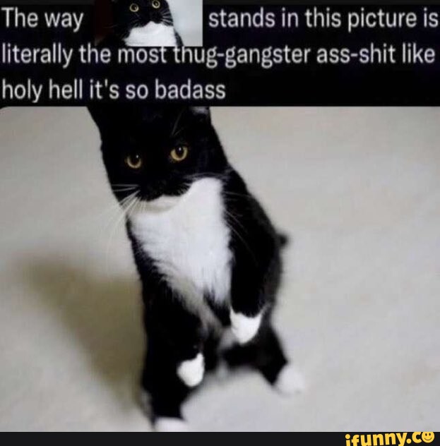 The way stands in this picture is literally the most ug-gangster ass ...