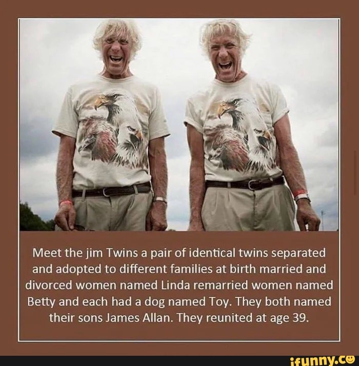 Meet the jim Twins a pair of identical twins separated and adopted to ...