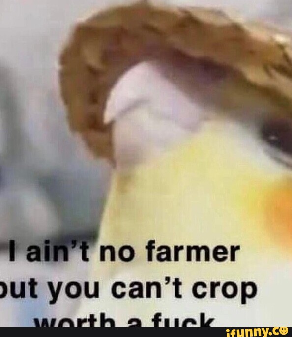 No farmer yut YOU can't crop - iFunny