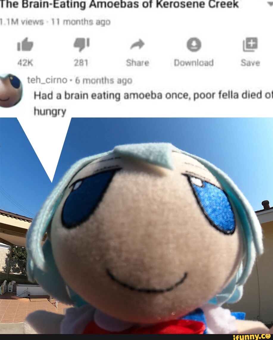 Amoeba memes. Best Collection of funny Amoeba pictures on iFunny