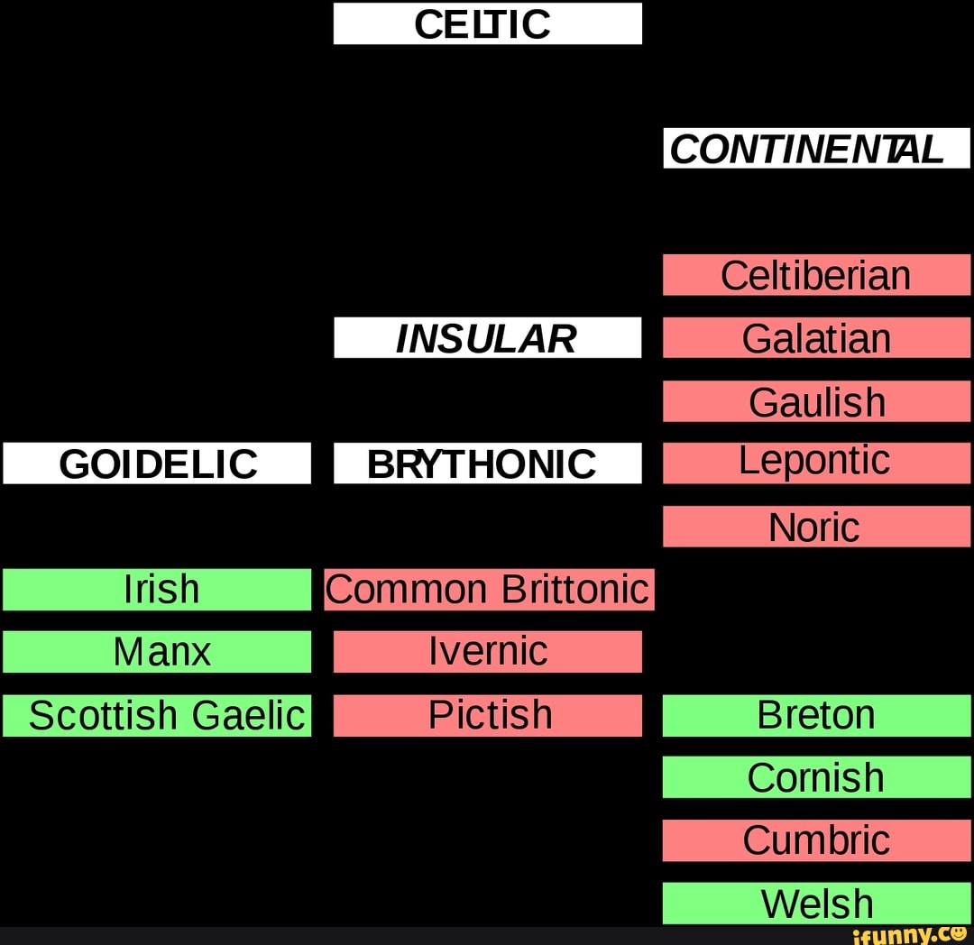 CELTIC CONTINENTAL Ceaktiberian IIMSULAR Galatian Gaulish GOIDELIC ...