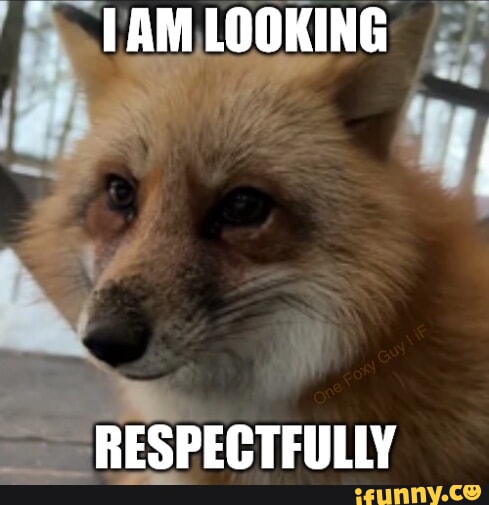 LOOKING RESPECTFULLY - iFunny