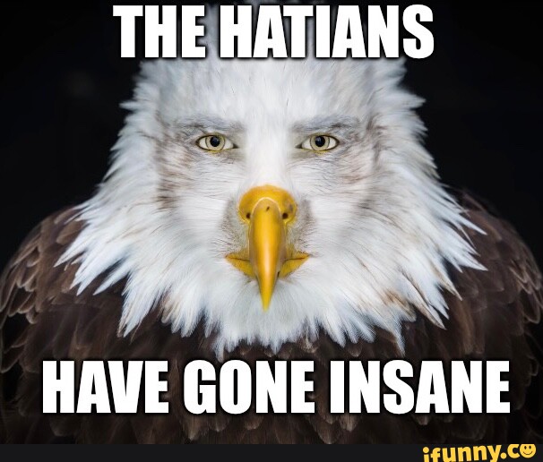 THE HATIANS HAVE GONE INSANE - iFunny