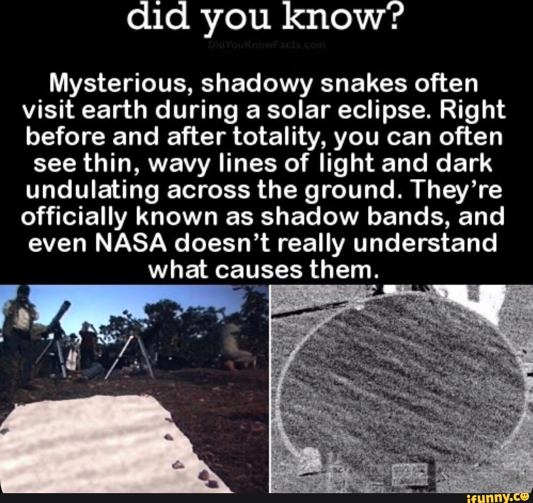 Did you know? Mysterious, shadowy snakes often visit earth during a ...