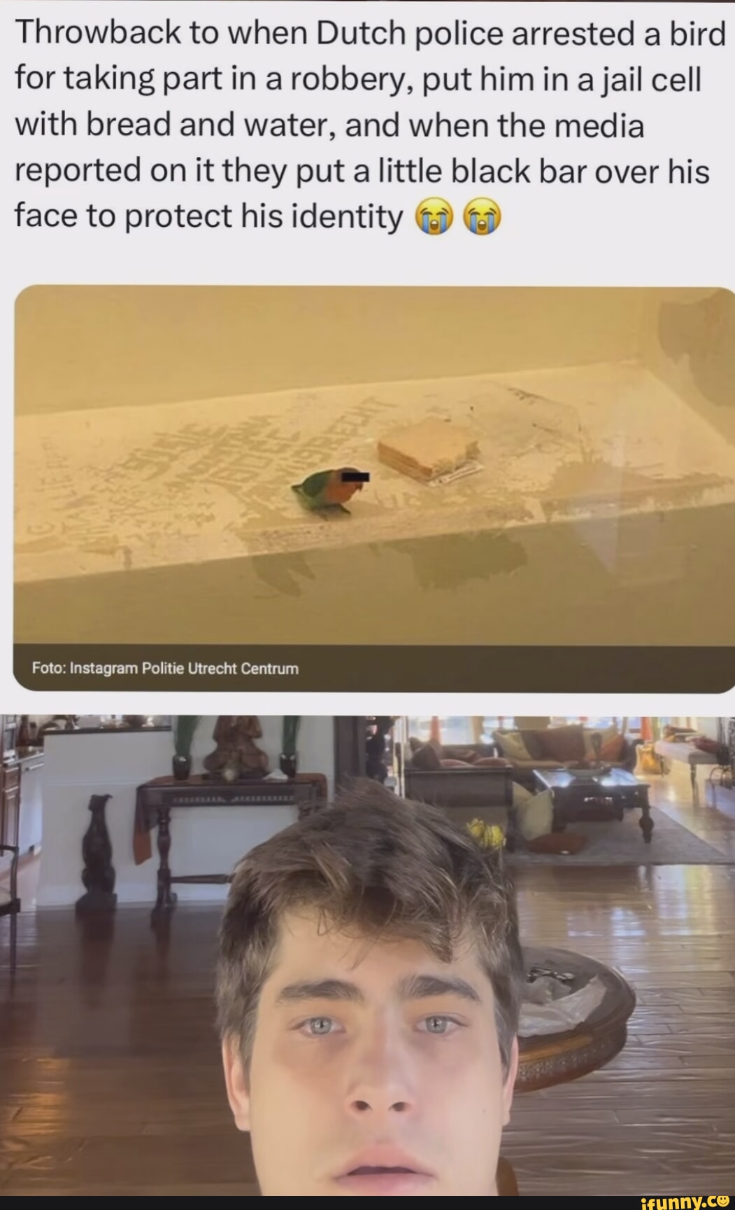 Picture memes PsTtLFSYA by SsjAntiGay - iFunny