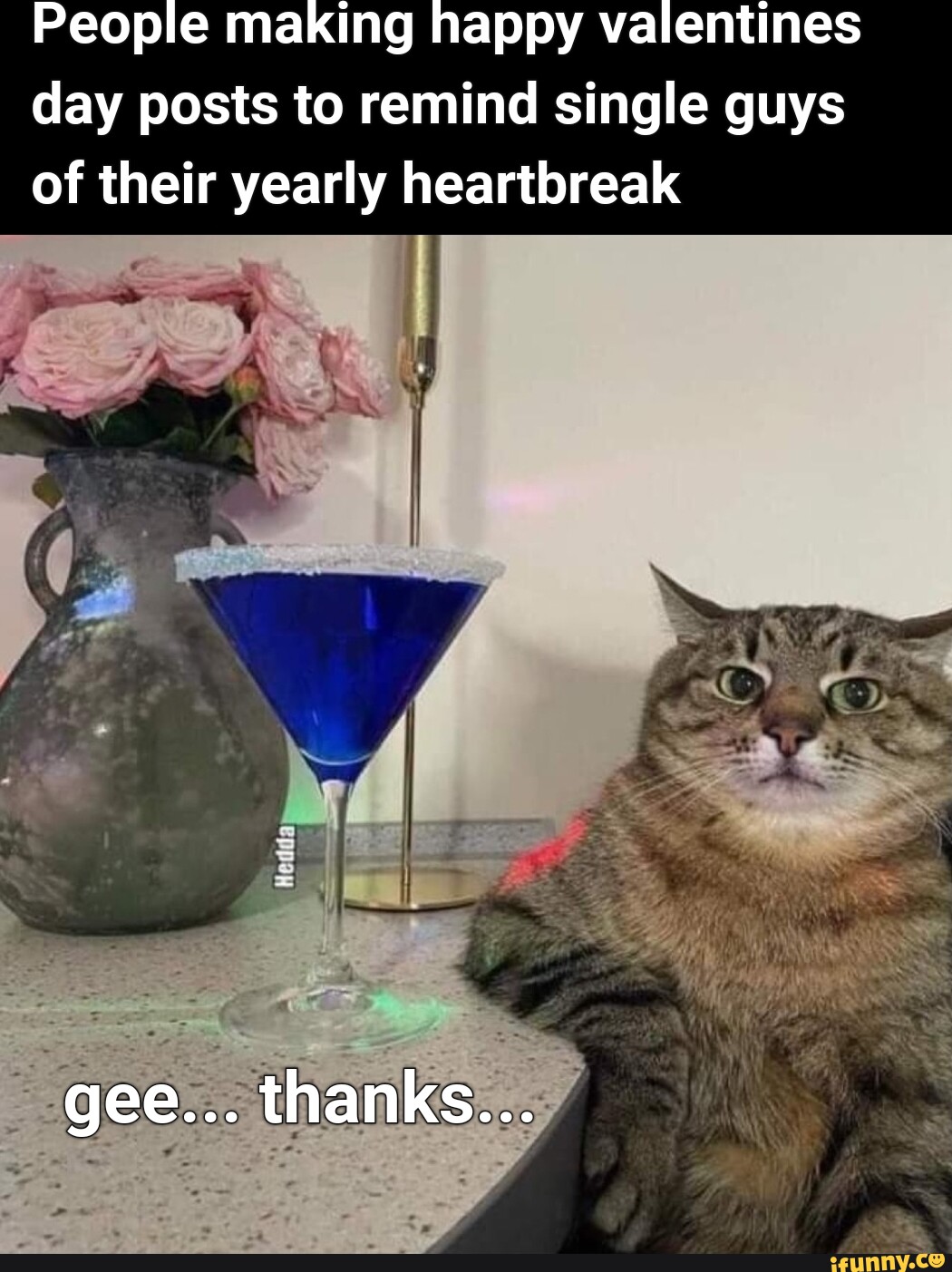 People making happy valentines day posts to remind single guys of their ...