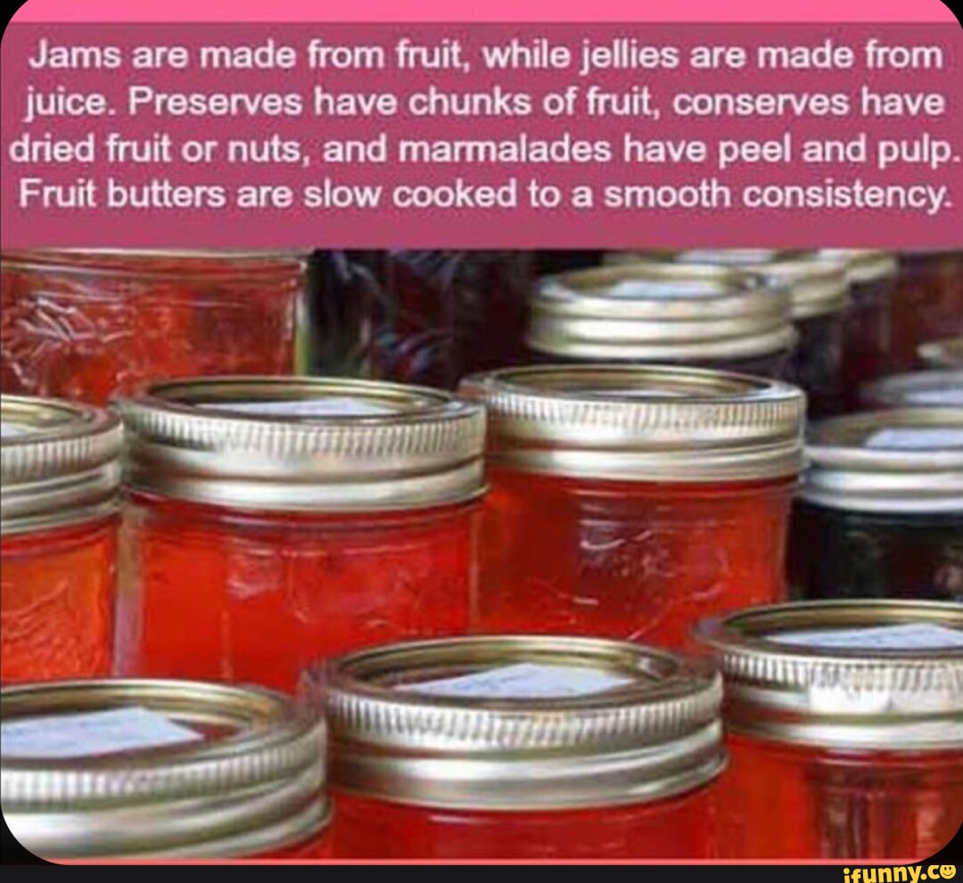 Video memes mO9X5Rj1B by lordtommyytheinfj: 1 comment - iFunny