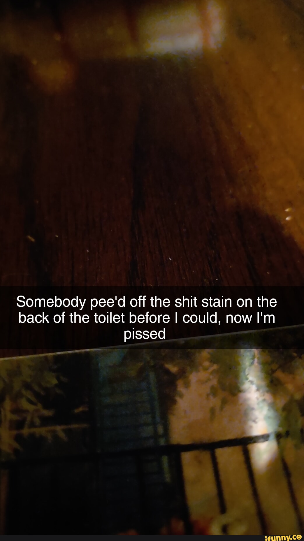 Somebody pee'd off the shit stain on the back of the toilet before I ...