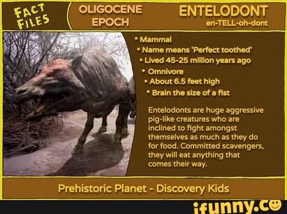 Entelodont memes. Best Collection of funny Entelodont pictures on iFunny