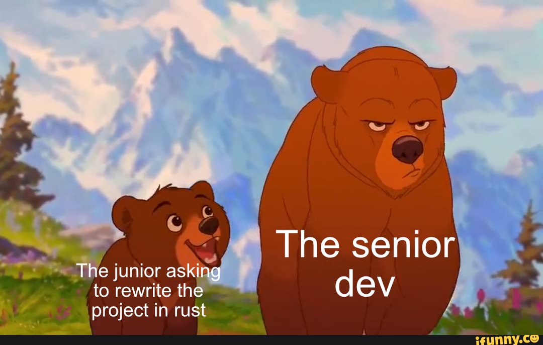 Tie to rewrite junior the asking dev project in rust The senior Tie ...