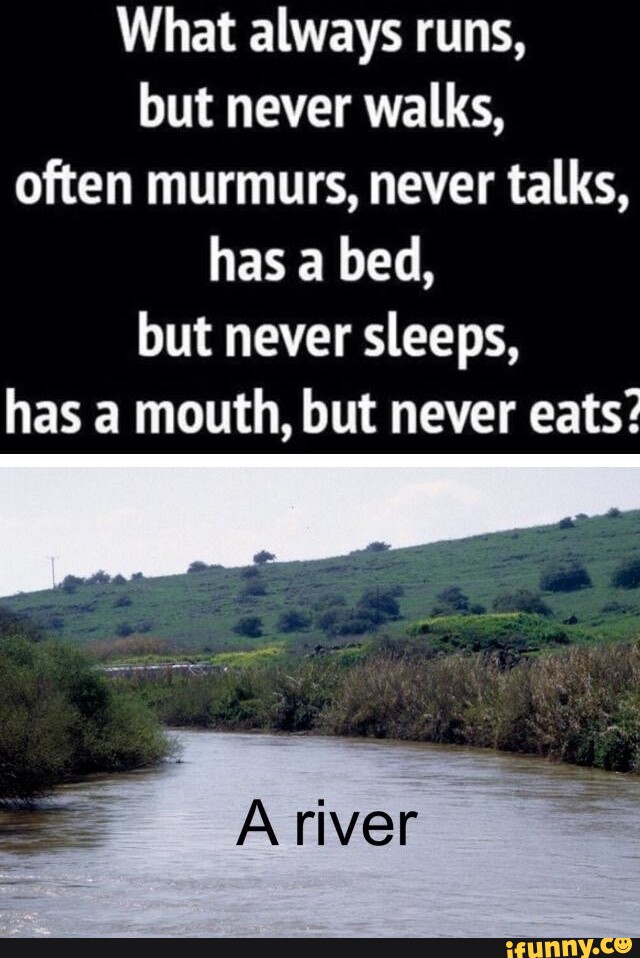 What always runs, but never walks, often murmurs, never talks, has a ...