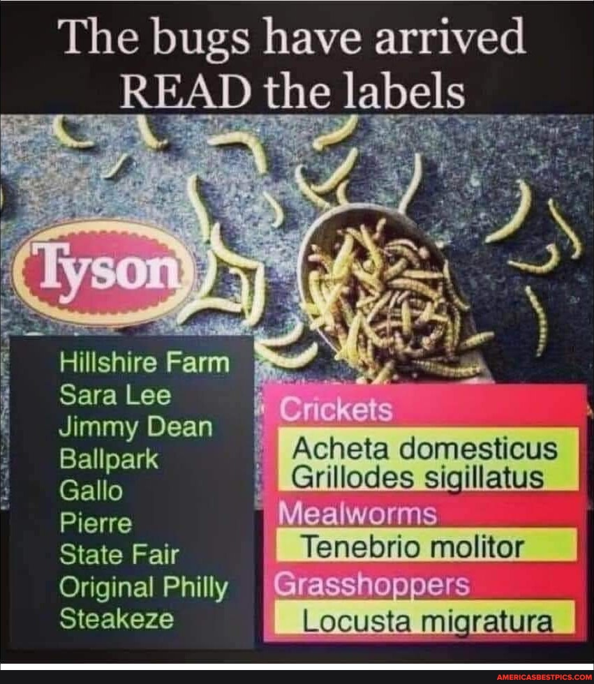 The bugs have arrived READ the labels Hillshire Farm Sara Lee Jimmy ...