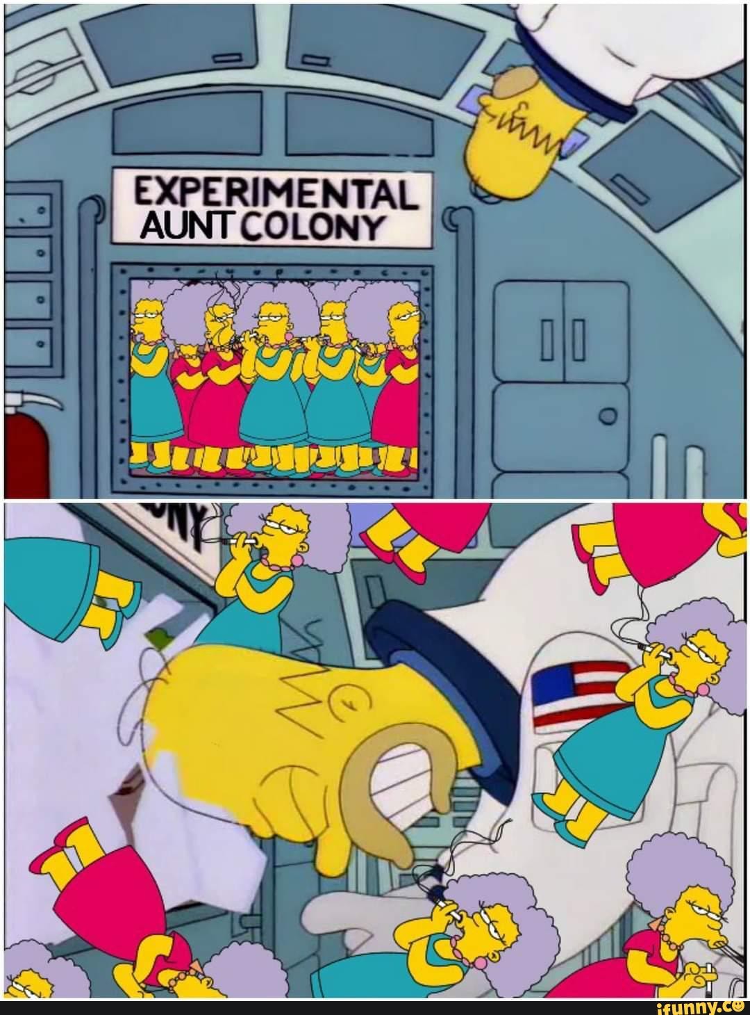 Stolen Simpsons Memes/shitposts - EXPERIMENTAL AUNT COLONY - iFunny