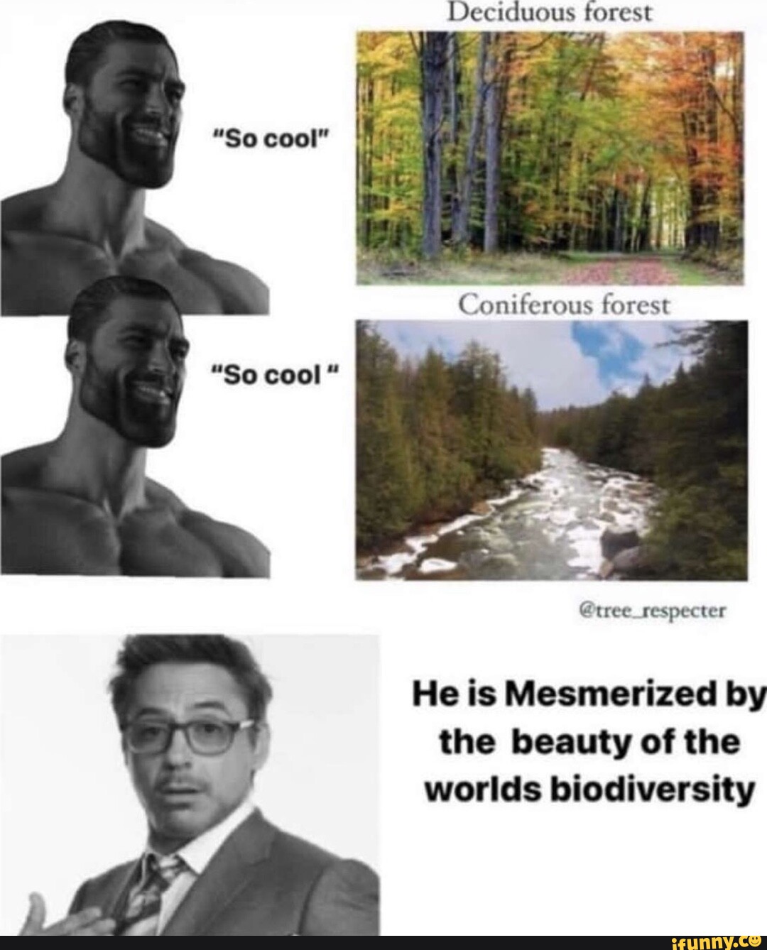 Picture memes IYcjtDI9A by kundaIini: 9 comments - )