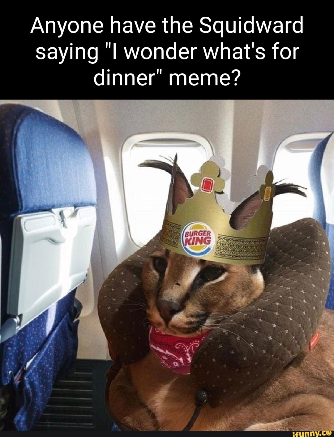 Anyone have the Squidward saying wonder what's for dinner" meme? - iFunny