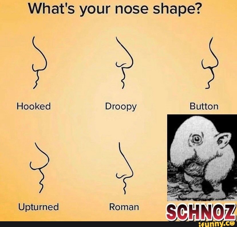What's your nose shape? Hooked Droopy Button Upturned Roman - iFunny