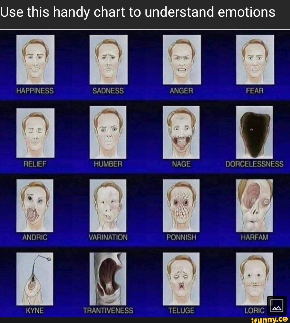 Use this Use this handy chart to understand emotions HAPPINESS SADNESS ...
