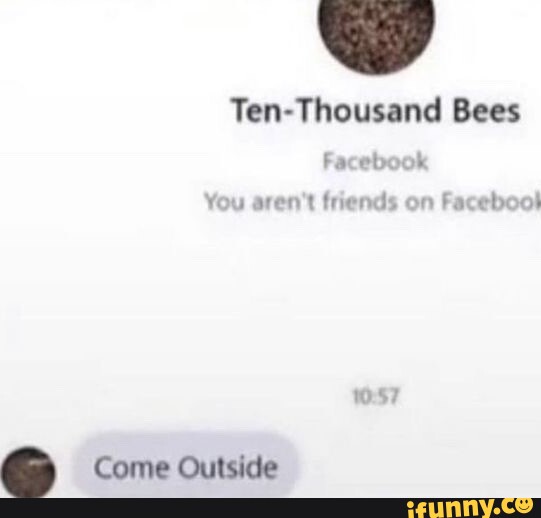 Ten- Thousand Bees Facebook You aren't friends on Faceboot Come Outside ...