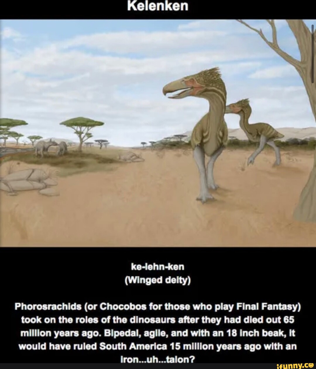 Chocobos memes. Best Collection of funny Chocobos pictures on iFunny