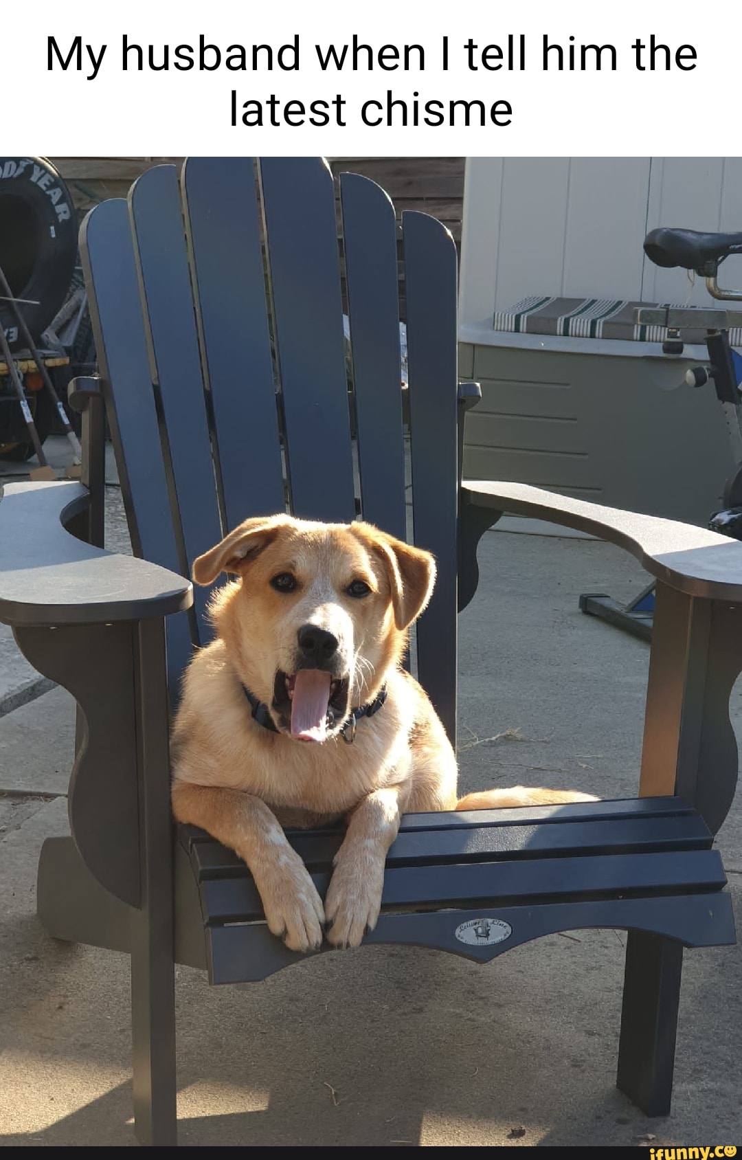 Chisme memes. Best Collection of funny Chisme pictures on iFunny