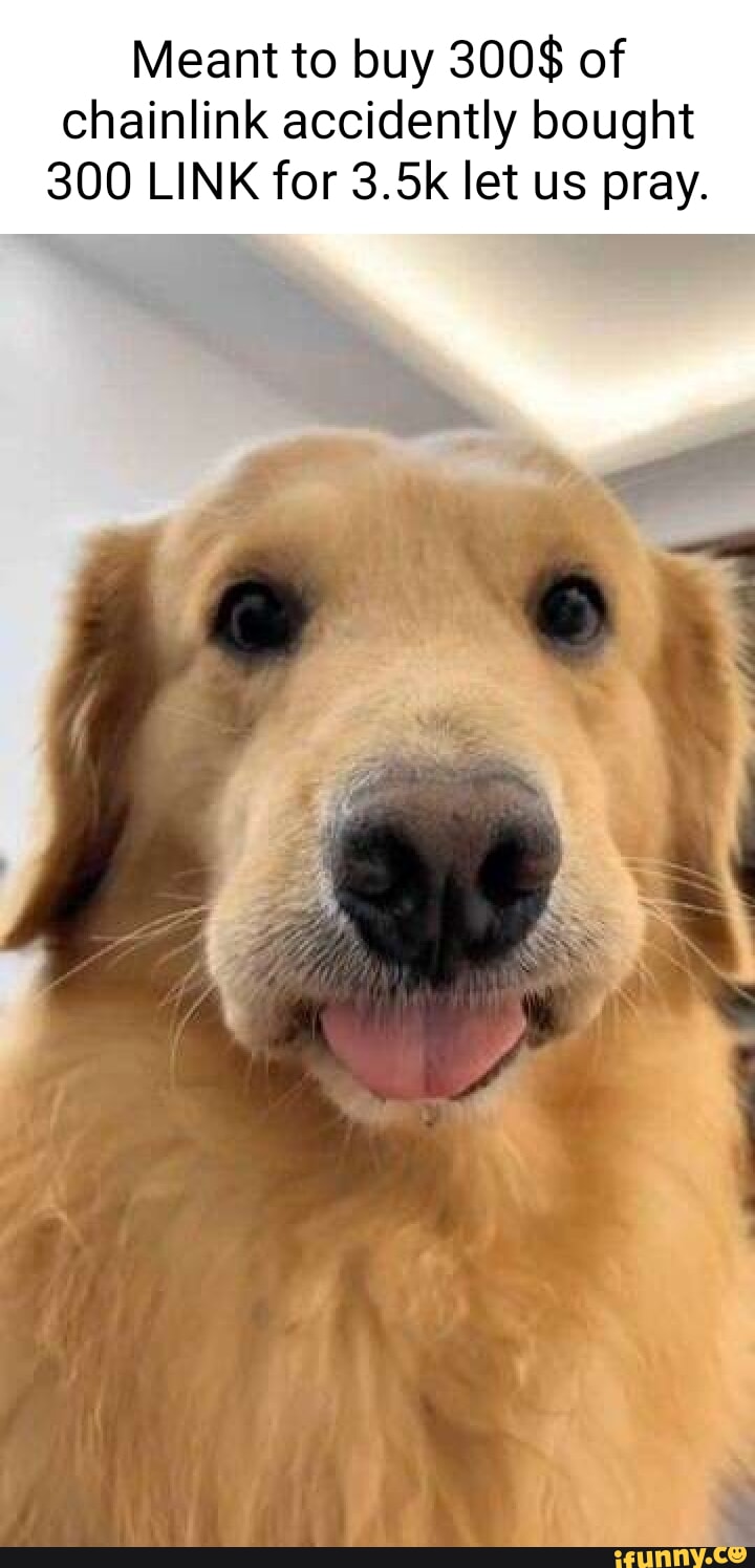 Chainlink memes. Best Collection of funny Chainlink pictures on iFunny