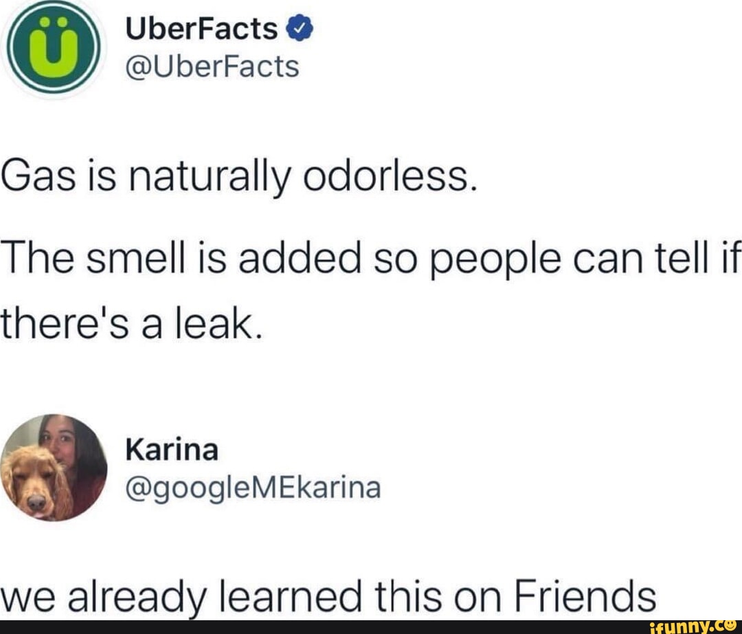 Leak memes. Best Collection of funny Leak pictures on iFunny