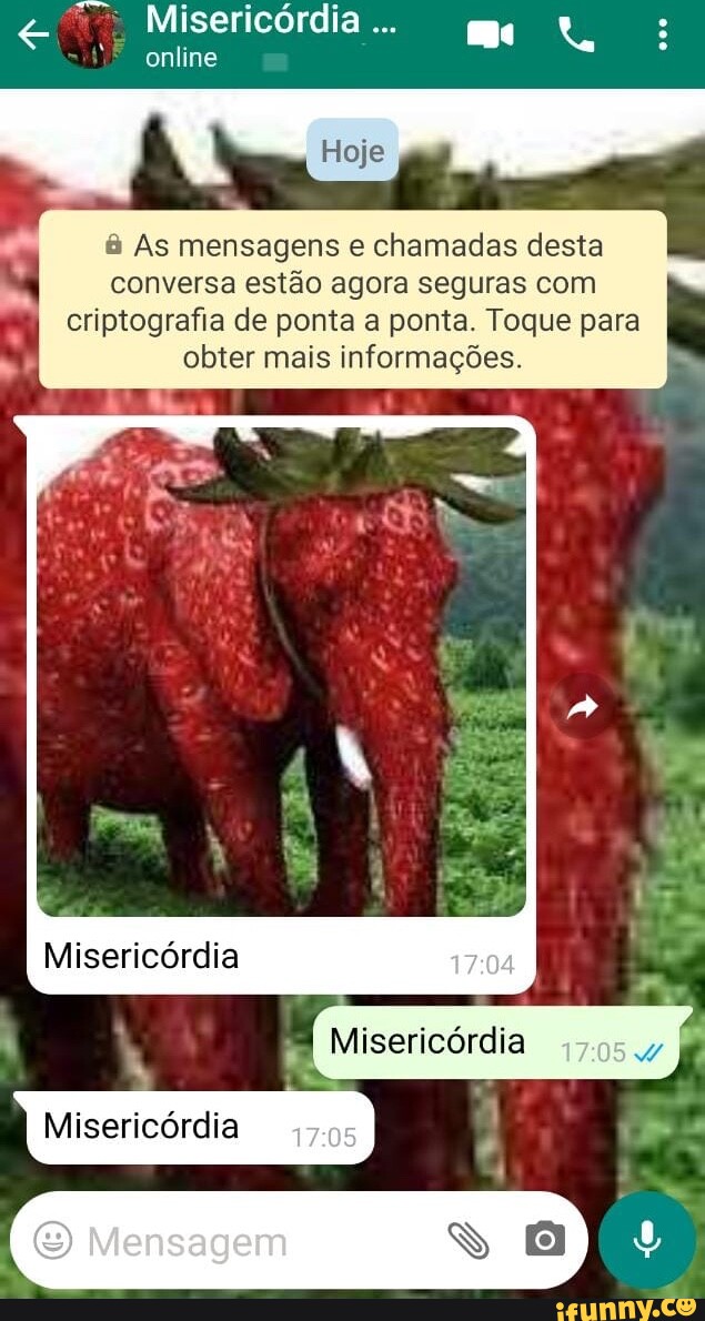 Misericórdia... online As mensagens e chamadas desta conversa estão ...
