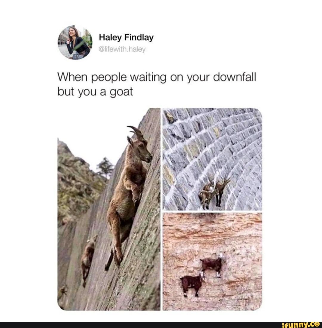 Haley Findlay When people waiting on your downfall but you a goat - iFunny