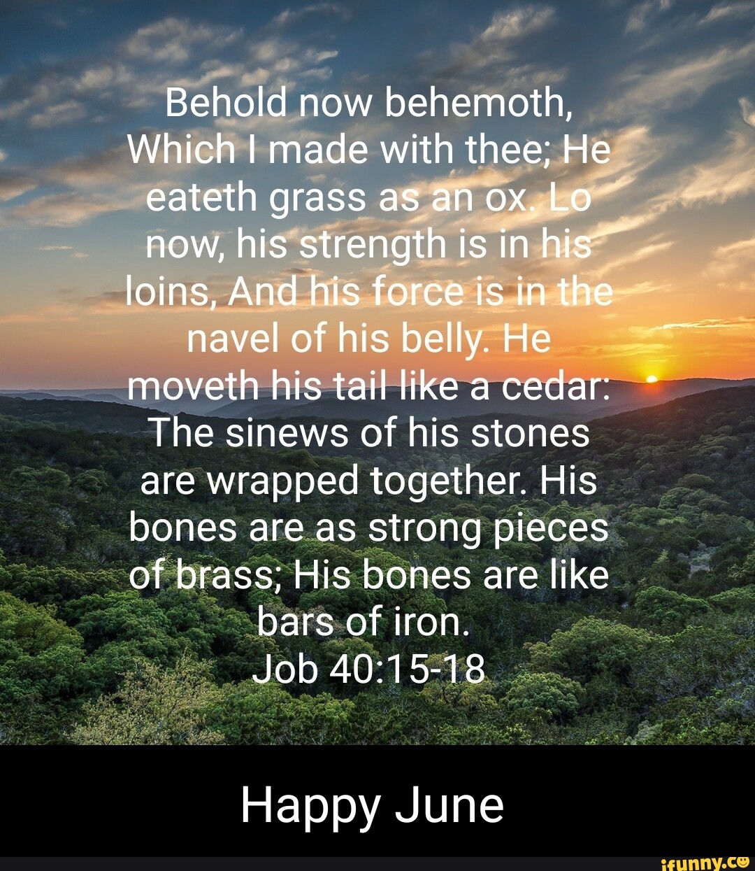 Loins memes. Best Collection of funny Loins pictures on iFunny