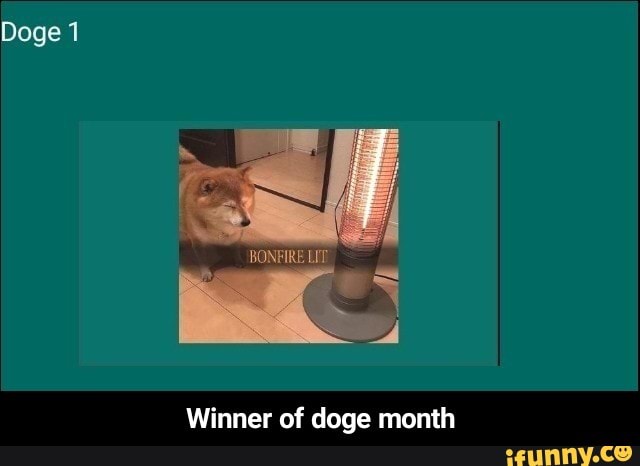 Winner of done month - Winner of doge month - iFunny