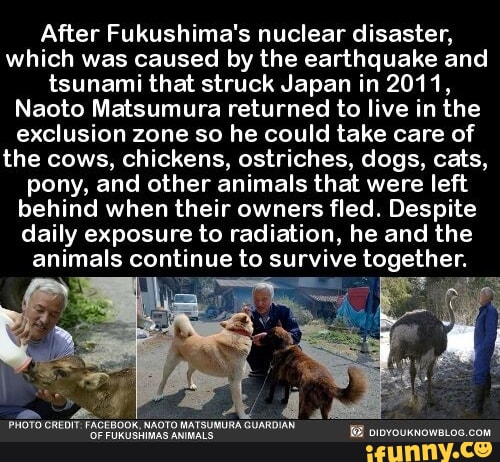 Fukushimas memes. Best Collection of funny Fukushimas pictures on iFunny
